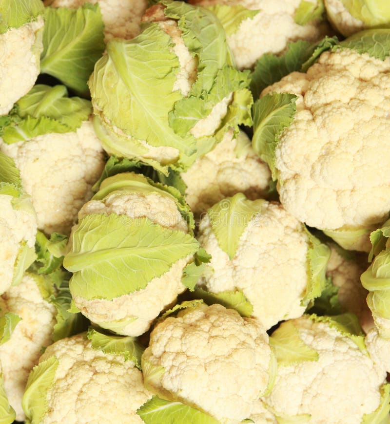 Cauliflower stock photo. Image of lush, growth, nature - 17549364