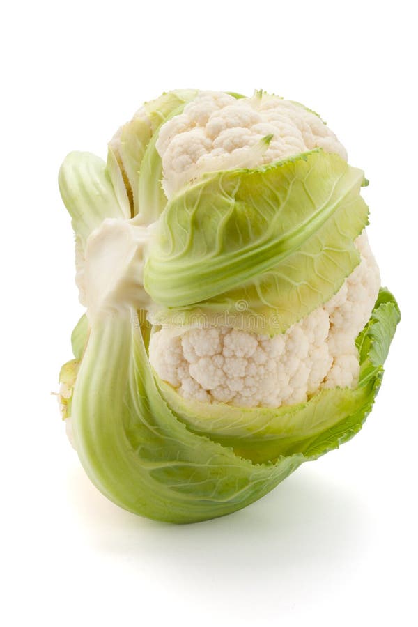 Cauliflower stock photo. Image of meals, healthy, simple - 19542110