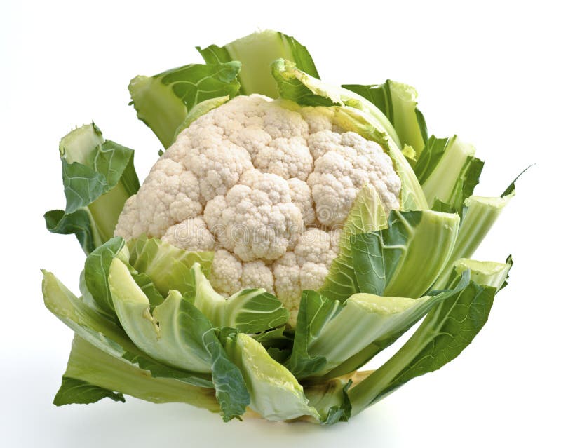 Cauliflower stock image. Image of gardening, cabbage - 23034787