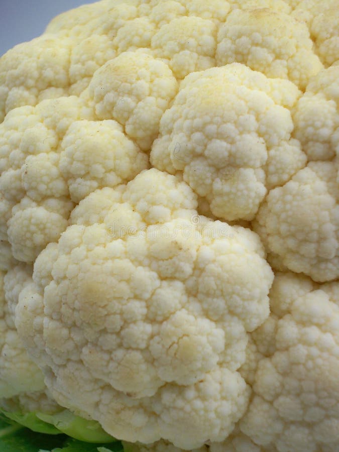 Cauliflower stock image. Image of clean, eating, cauliflower - 24204571