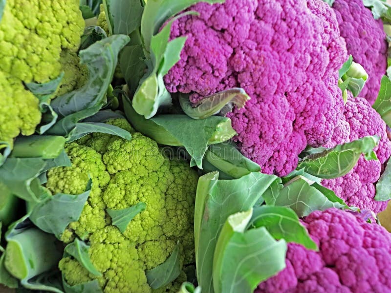 Cauliflower stock image. Image of colorful, vegetables - 25859767