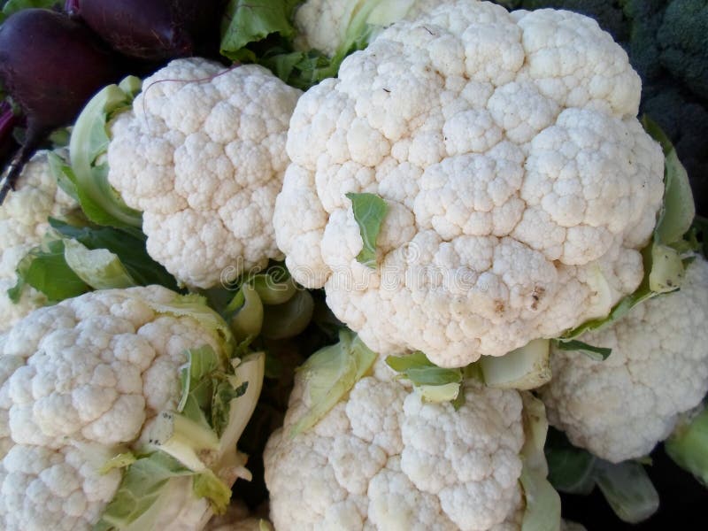 Cauliflower stock photo. Image of vegetables, crunchy - 26097260