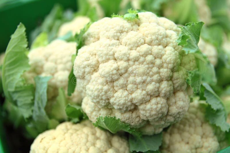 Cauliflower stock image. Image of leaf, crop, group, clean - 26299729