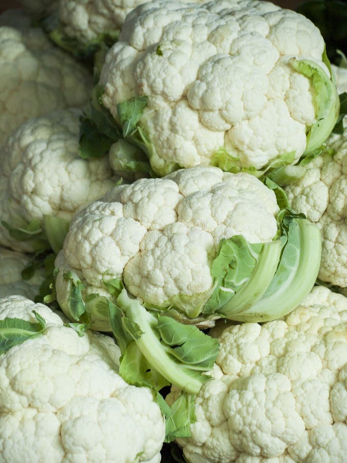 Cauliflower stock image. Image of bloom, herbaceous, fiber - 26646203