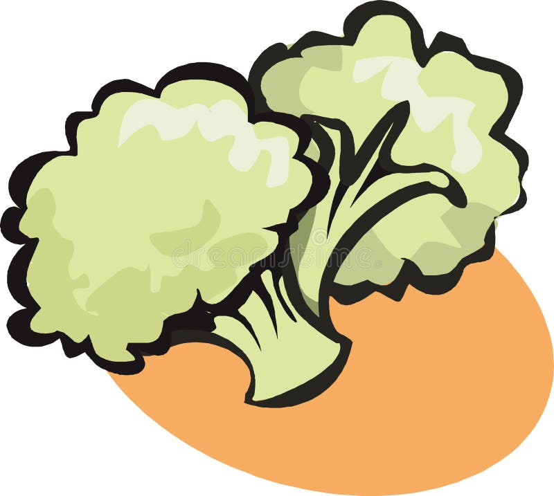 Sad Cartoon Cauliflower stock vector. Illustration of vegetable - 47365104
