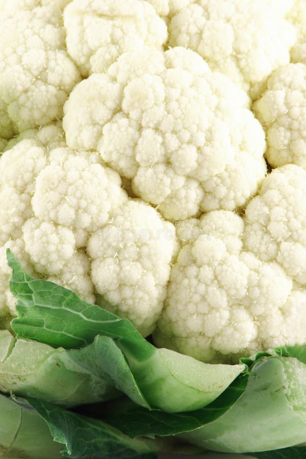 Cauliflower stock photo. Image of tasty, cauliflower, stem - 4575376