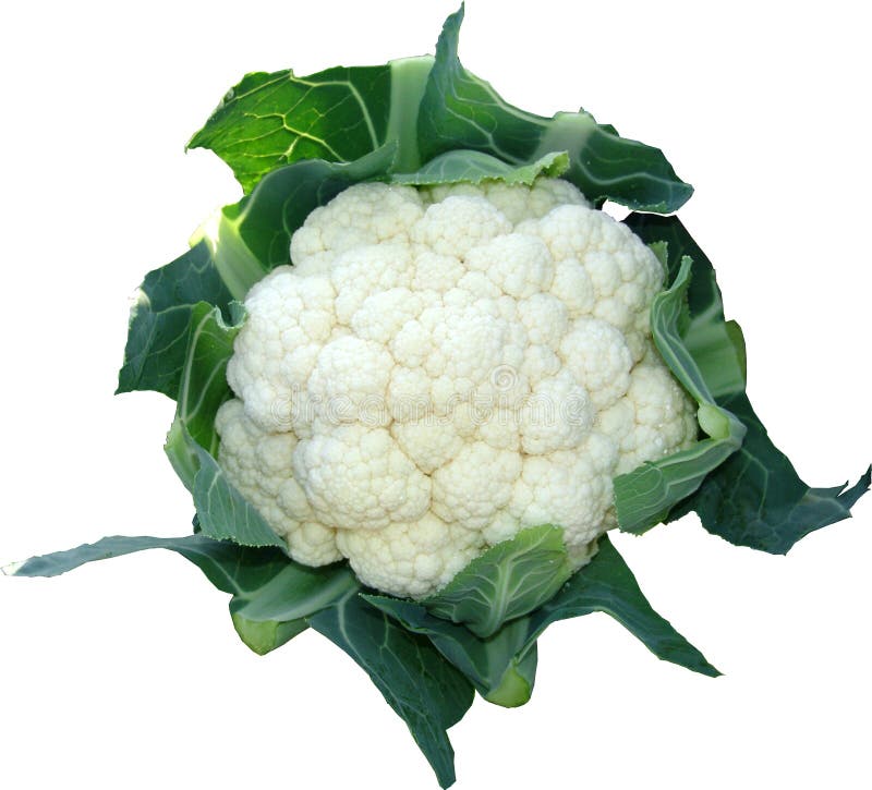 Cauliflower stock image. Image of yield, crop, food, vegetable - 6810701