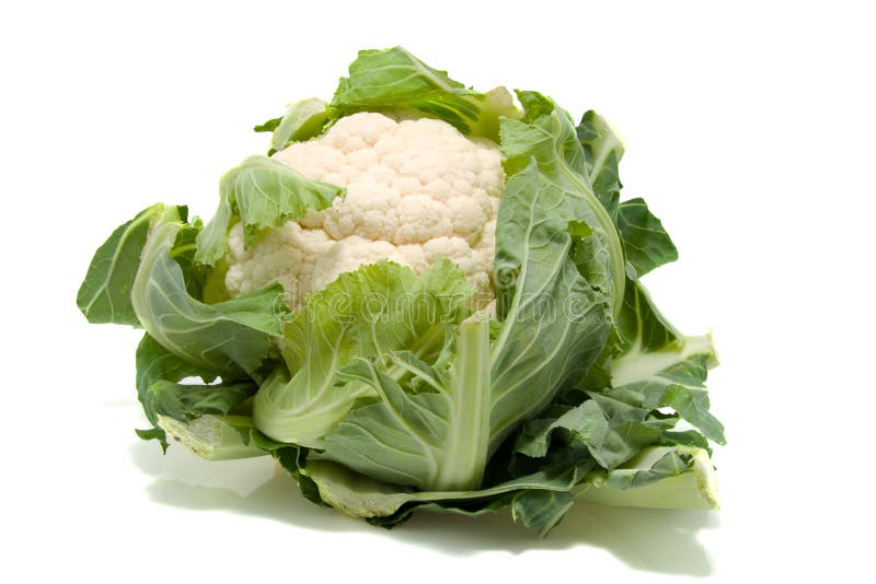 Cauliflower stock photo. Image of supper, leaf, farm, home - 14656