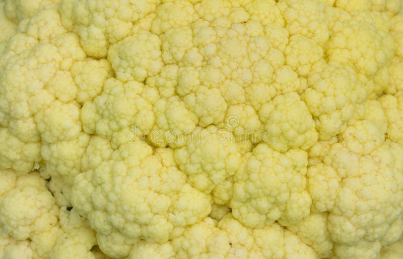 Cauliflower stock image. Image of crop, delicious, vegan - 241503497