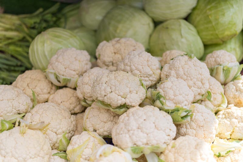 Cauliflower and cabbage stock photo. Image of delicacy - 178485638