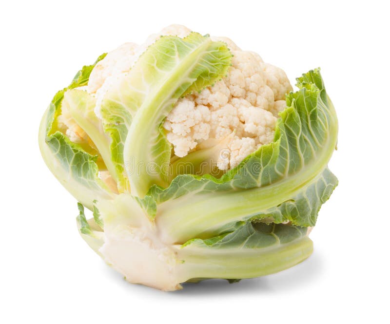 Cauliflower cabbage stock image. Image of single, healthy - 60637459