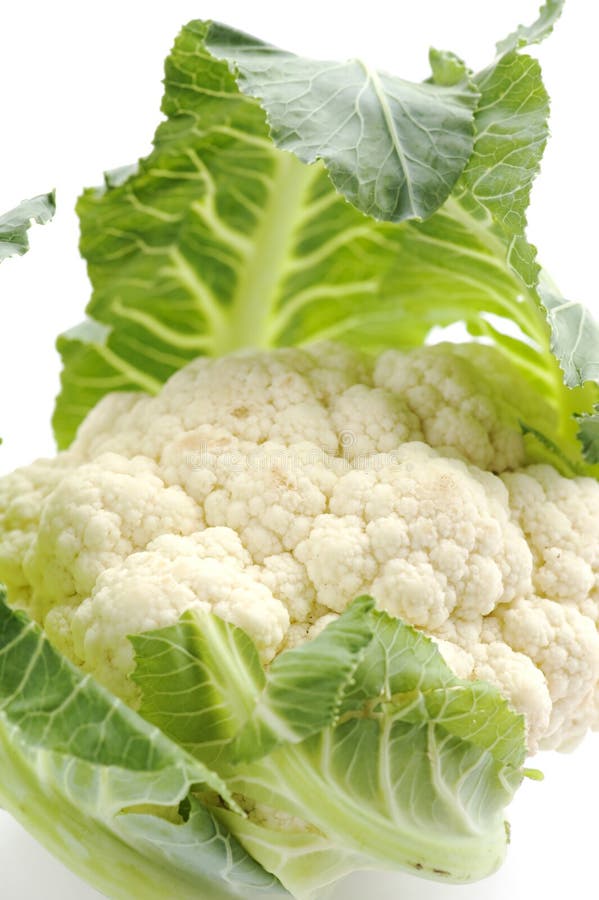 Cauliflower stock image. Image of horizontal, tomatoes - 22874265