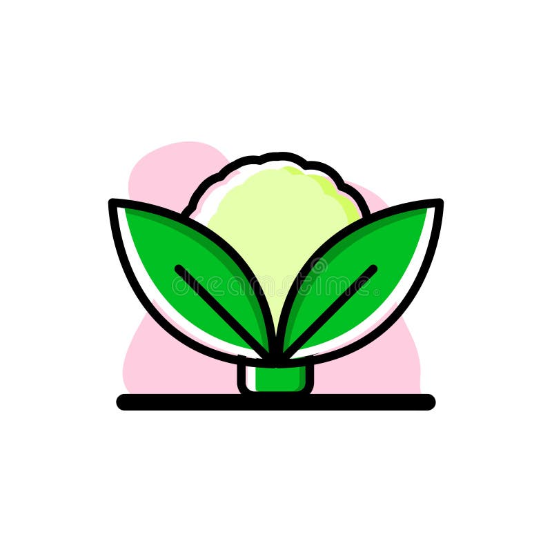 Cauliflower Conceptual Vector Icon Illustration Design Stock Vector ...