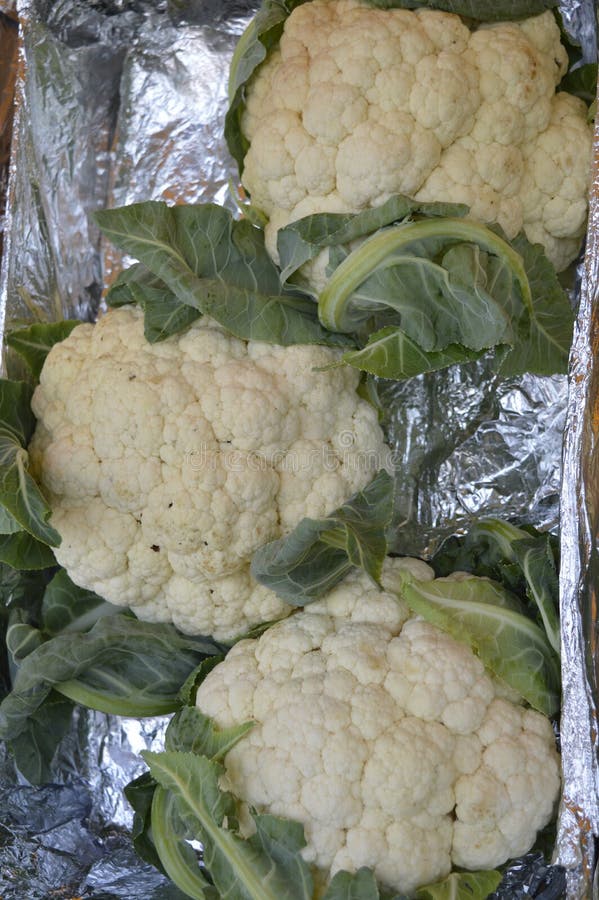 Cauliflower . stock photo. Image of abstract, gardens - 100628046