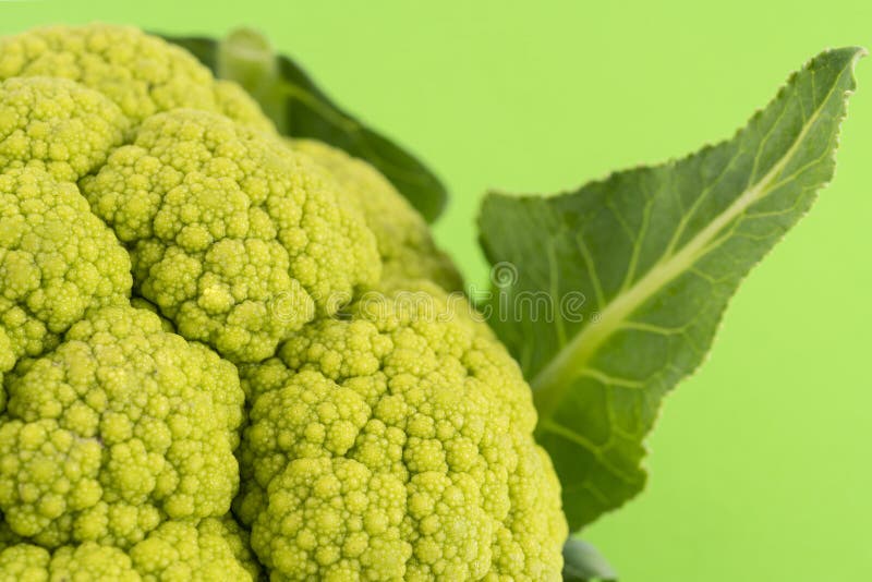 Cauliflower stock photo. Image of object, fresh, color - 204560002