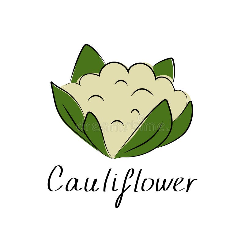 Cauliflower Icon in Flat Style. Isolated Object. Cauliflower Logo ...