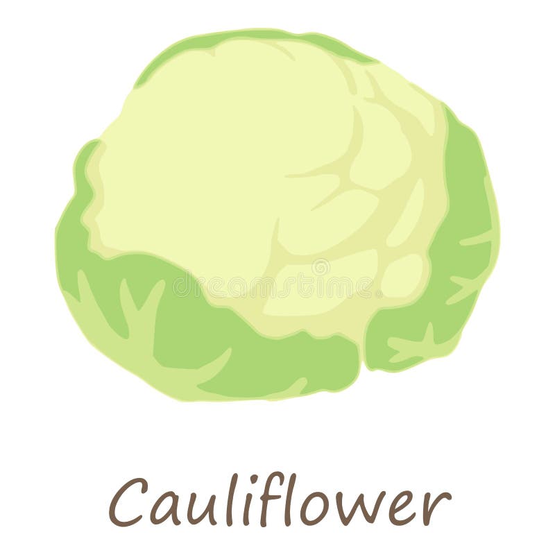 Cauliflower Icon, Isometric Style Stock Vector - Illustration of design ...