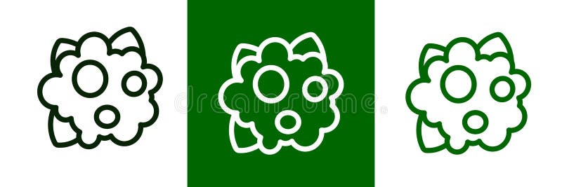 Cauliflower Icon. Vector Set Cherry Cabbage in Line Style. Isolated ...