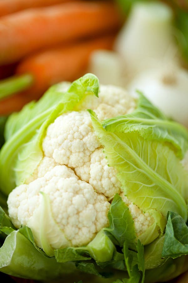 Cauliflower stock image. Image of agriculture, plenty - 22840161
