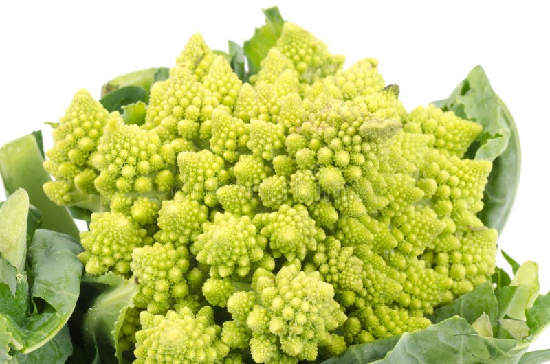 Cauliflower Romanesco stock image. Image of natural, romanesco - 48340023