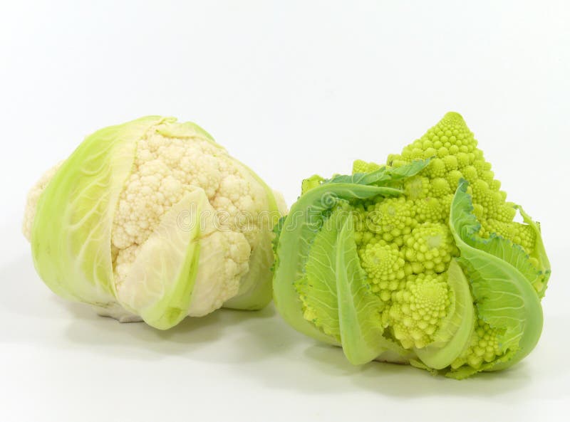 Cauliflower stock photo. Image of karfiol, nutrient, cheese - 49329276