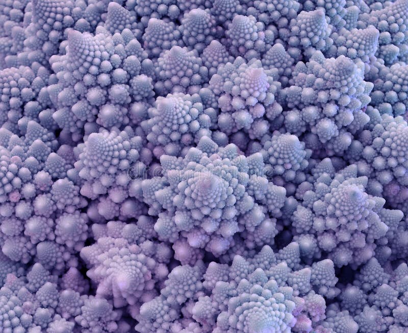 Cauliflower texture stock image. Image of cooking, flora - 32021703