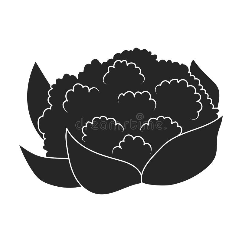 Cauliflower Vector Icon.Black Vector Icon Isolated on White Background ...