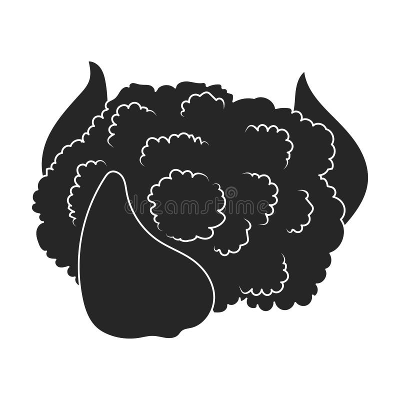Cauliflower Logo Stock Illustrations – 1,227 Cauliflower Logo Stock ...