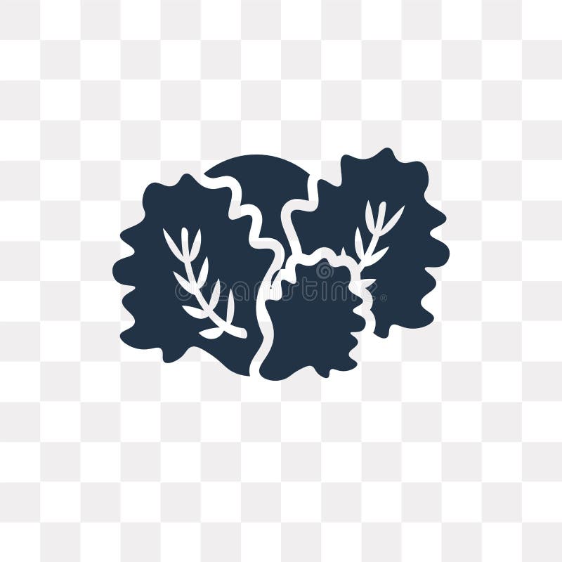 Cauliflower Transparent Icon. Cauliflower Symbol Design From Fruit And ...