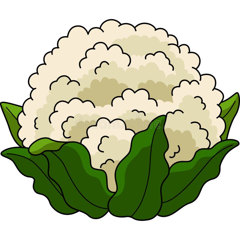 Cauliflower Vegetable Cartoon Colored Clipart Stock Vector ...