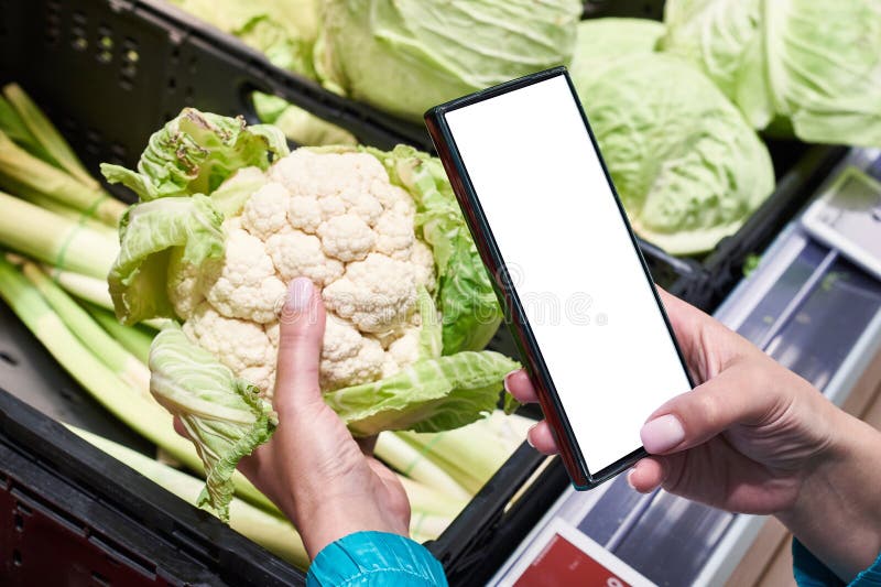 Cauliflower Vegetable in Hand and Smartphone White Stock Image - Image ...