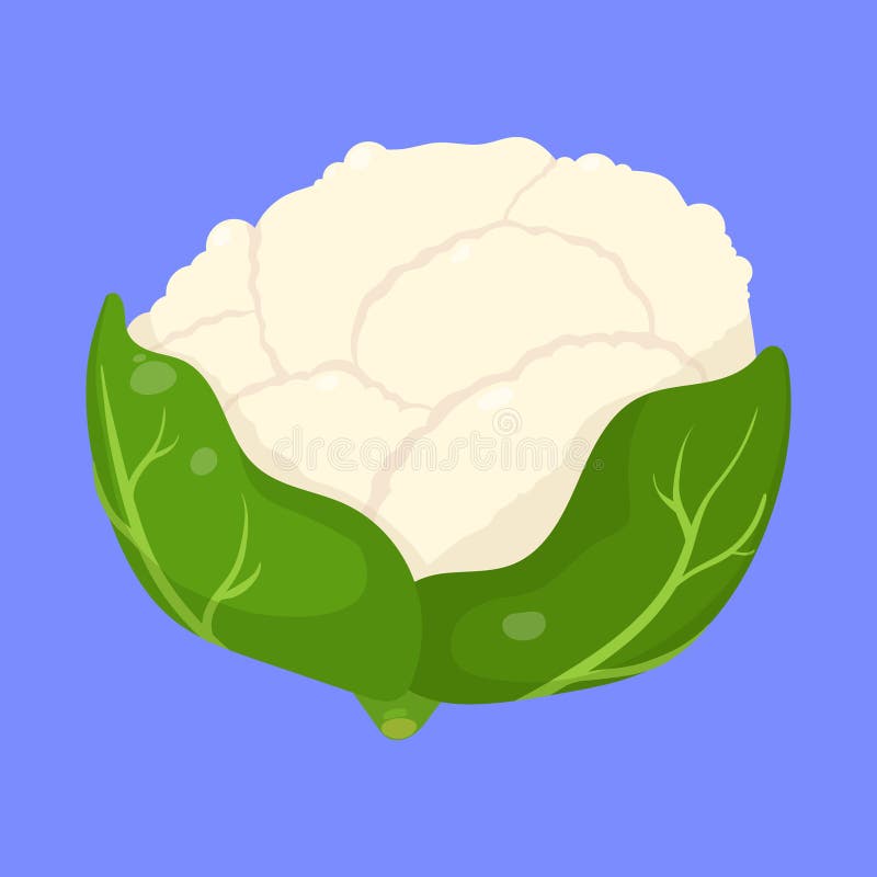 Cauliflower Vegetable Icon Vector. Cauliflower Vector Icon Stock Vector ...