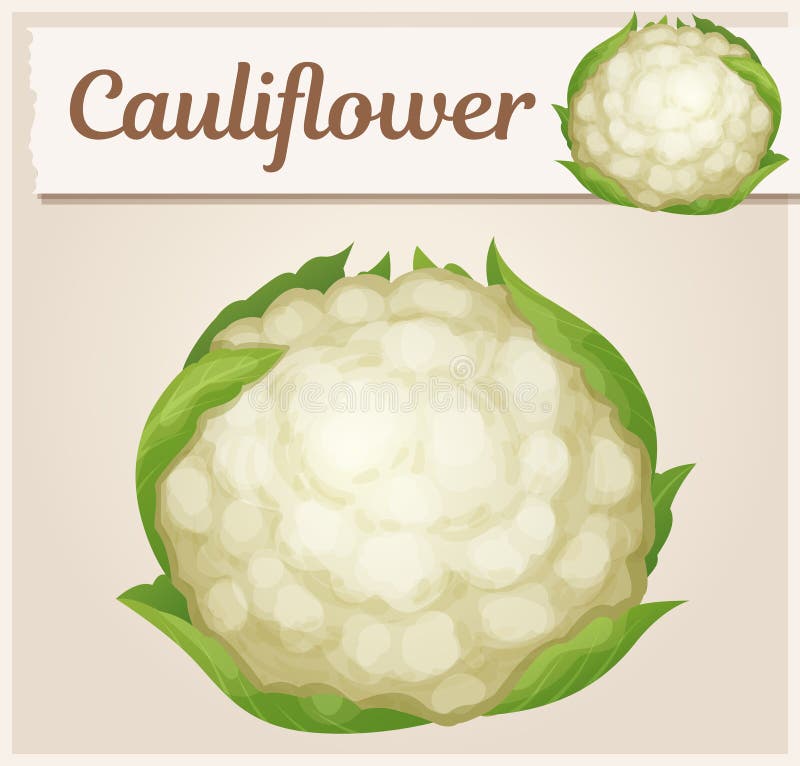Cauliflower Vegetable Vector Icon. White Cabbage Ingredient Cartoon ...