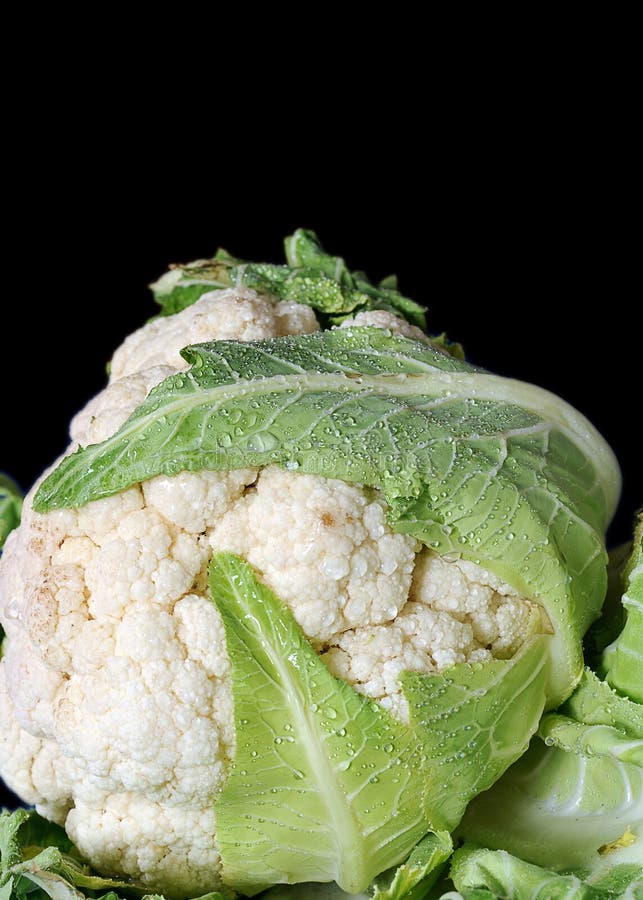Cauliflower stock photo. Image of cauliflower, white - 40837624