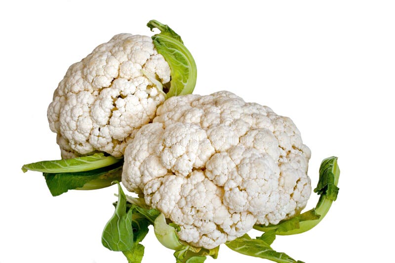 Cauliflowers in isolated stock photo. Image of leaf, diet - 18384010