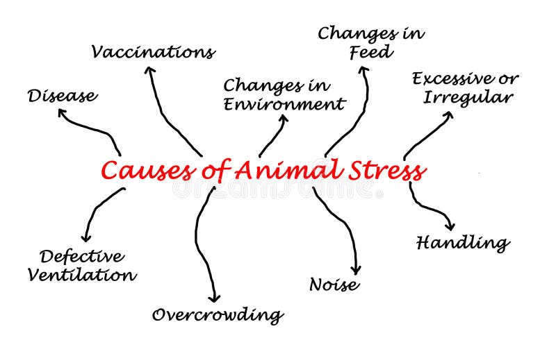Causas De La Tensión Animal Stock de ilustración - Ilustración de ...