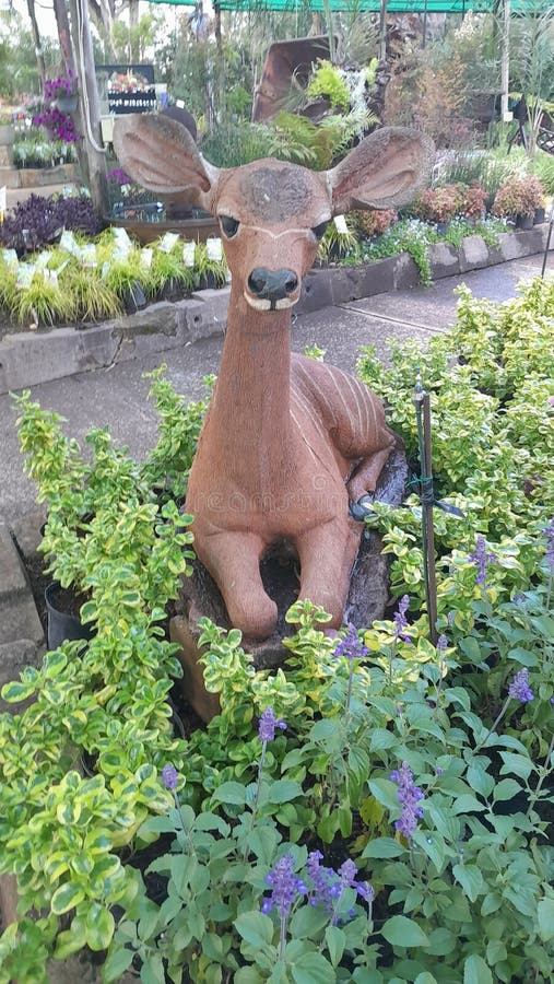 Cause why not stock image. Image of deer, plants, random - 337888519