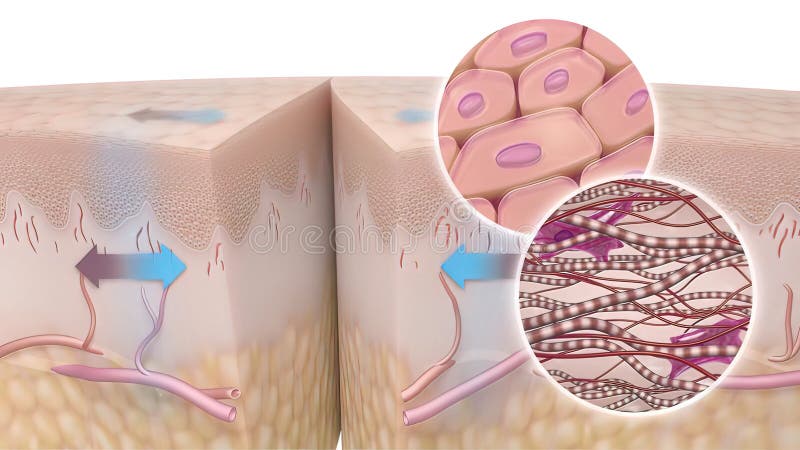 Blood Hospital Floor Stock Illustrations – 75 Blood Hospital Floor ...