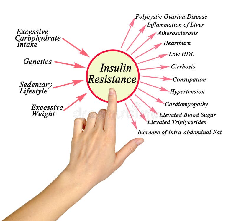 Insulin Resistance is Shown Using the Text Stock Image - Image of ...