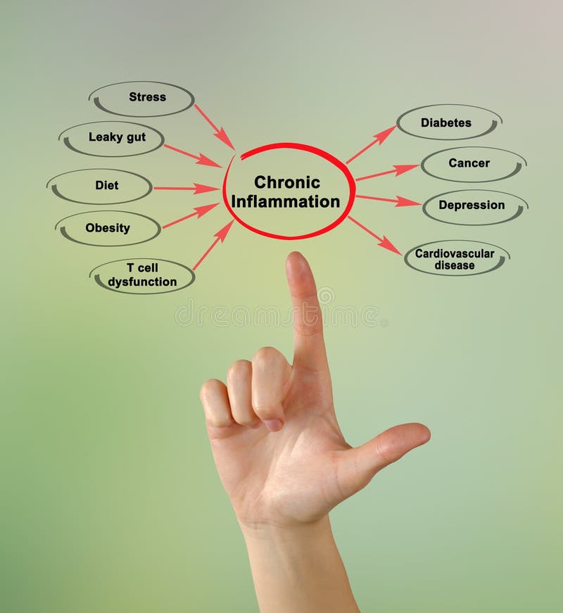 Chronic Inflammation - Long-term Inflammation Lasting for Prolonged ...