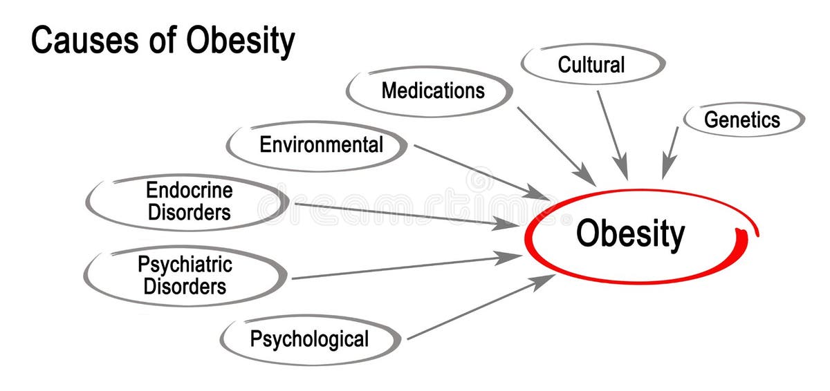Obesity Diagram Stock Illustrations – 1,065 Obesity Diagram Stock ...