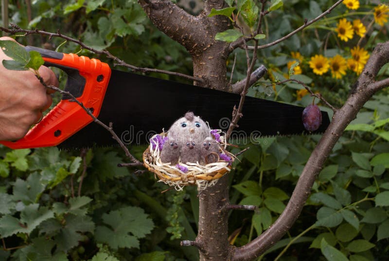 Causing Damage by a Man with a Black File To Nature in the Face of a ...