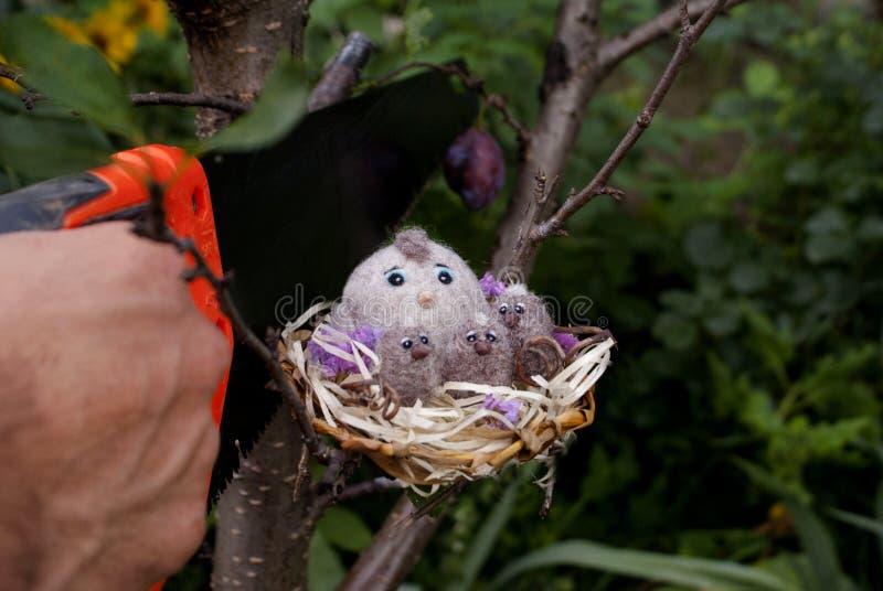 2,695 Bird Face Man Stock Photos - Free & Royalty-Free Stock Photos ...