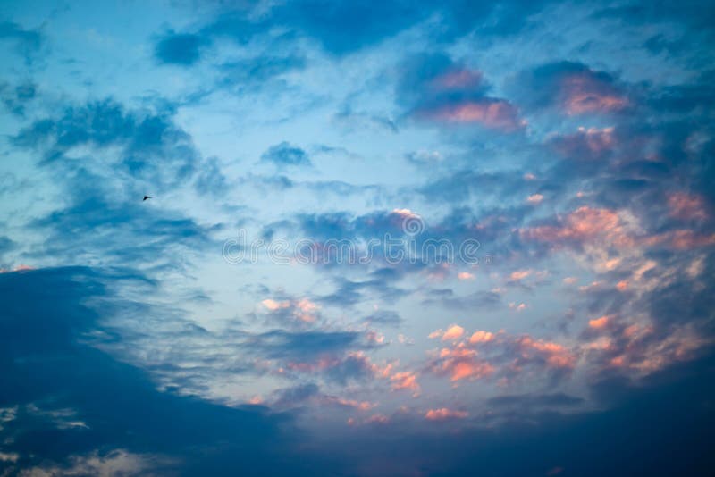 Causing Reflection Orange Light Stock Photo - Image of light ...