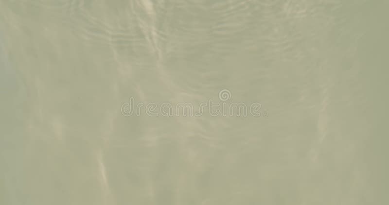 Caustics on Sand: Sunlight Creates Mesmerizing Patterns in Shallow ...