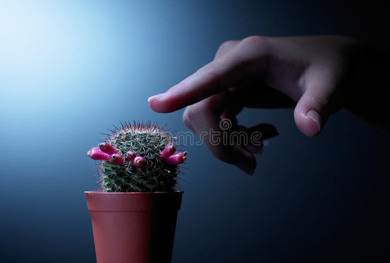 Cauteloso imagem de stock. Imagem de dedo, agulha, alerta - 4655817