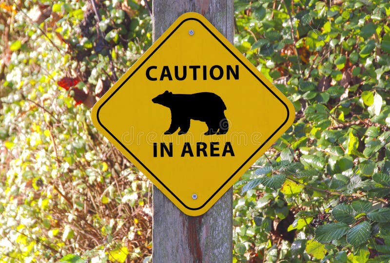 Caution Bear in Area Sign stock image. Image of bold - 60828931