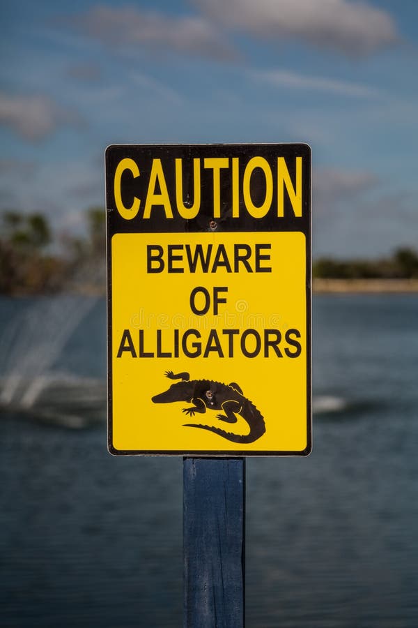 Caution Alligators Stock Photos - Free & Royalty-Free Stock Photos from ...