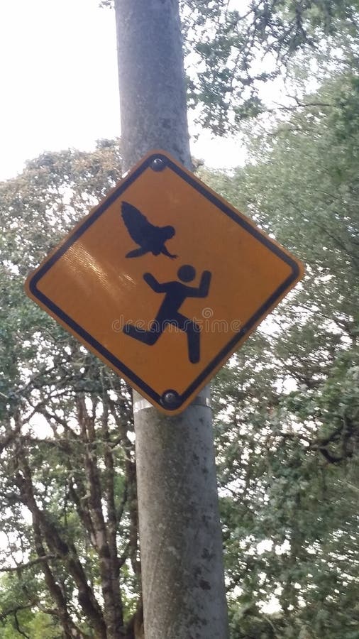 Caution Birds Nesting Sign at a Country Estate Stock Photo - Image of ...
