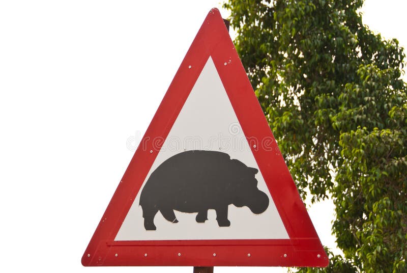 Beware hippo stock image. Image of danger, beware, caution - 28293519